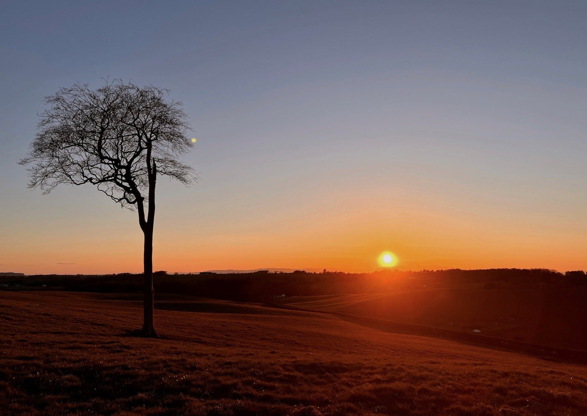 A Gift That Gives – RSABI